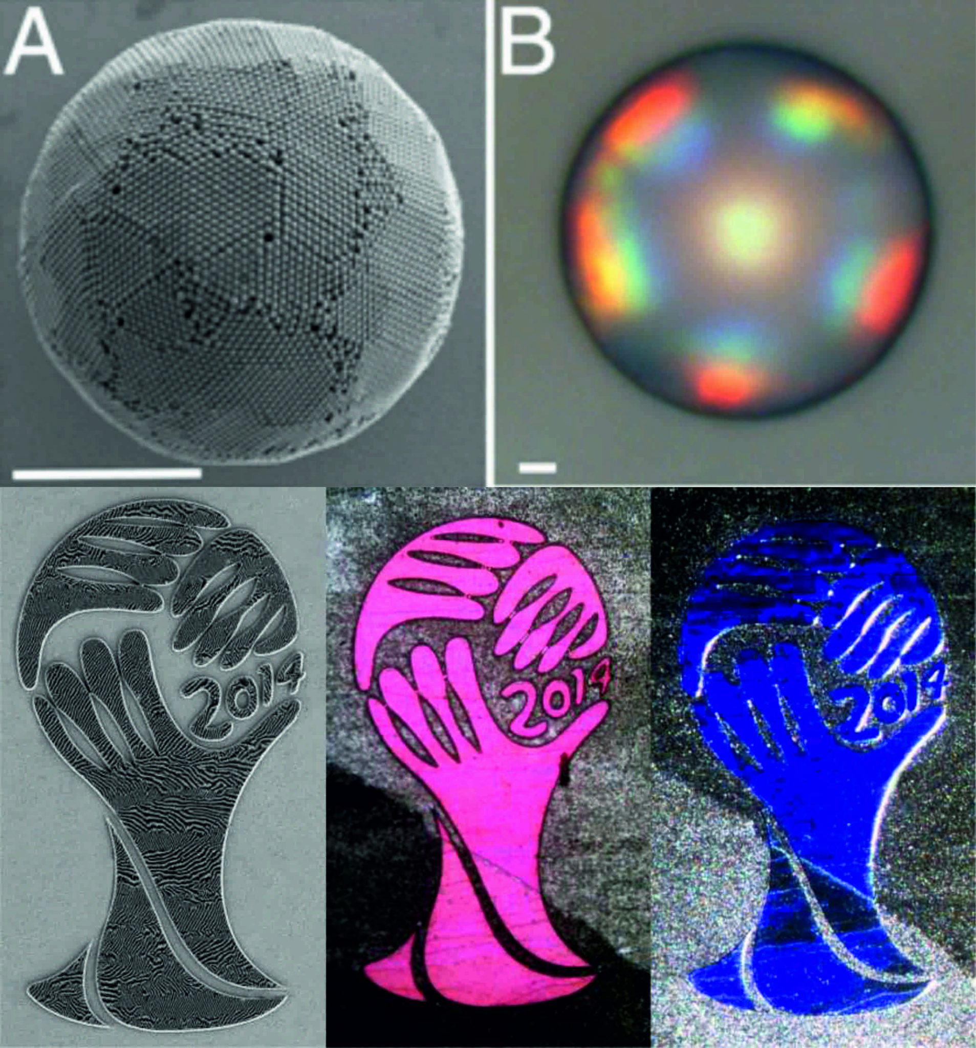 Bio-inspired Design – Self-Assembled Materials